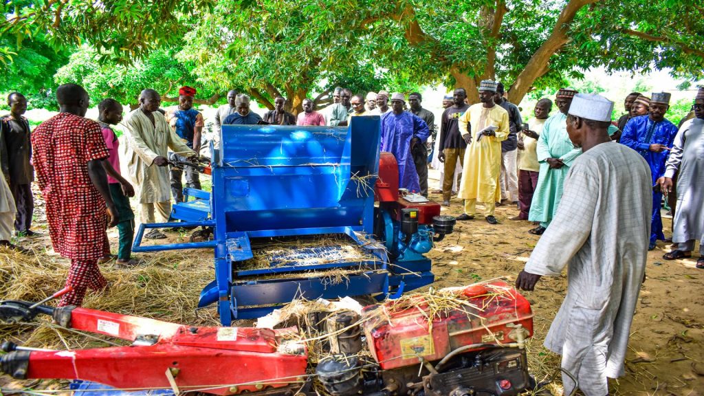 Projects – Diamond Development Initiatives