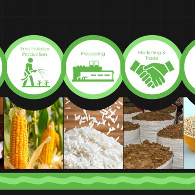 Focus Areas - Diamond Development Initiatives